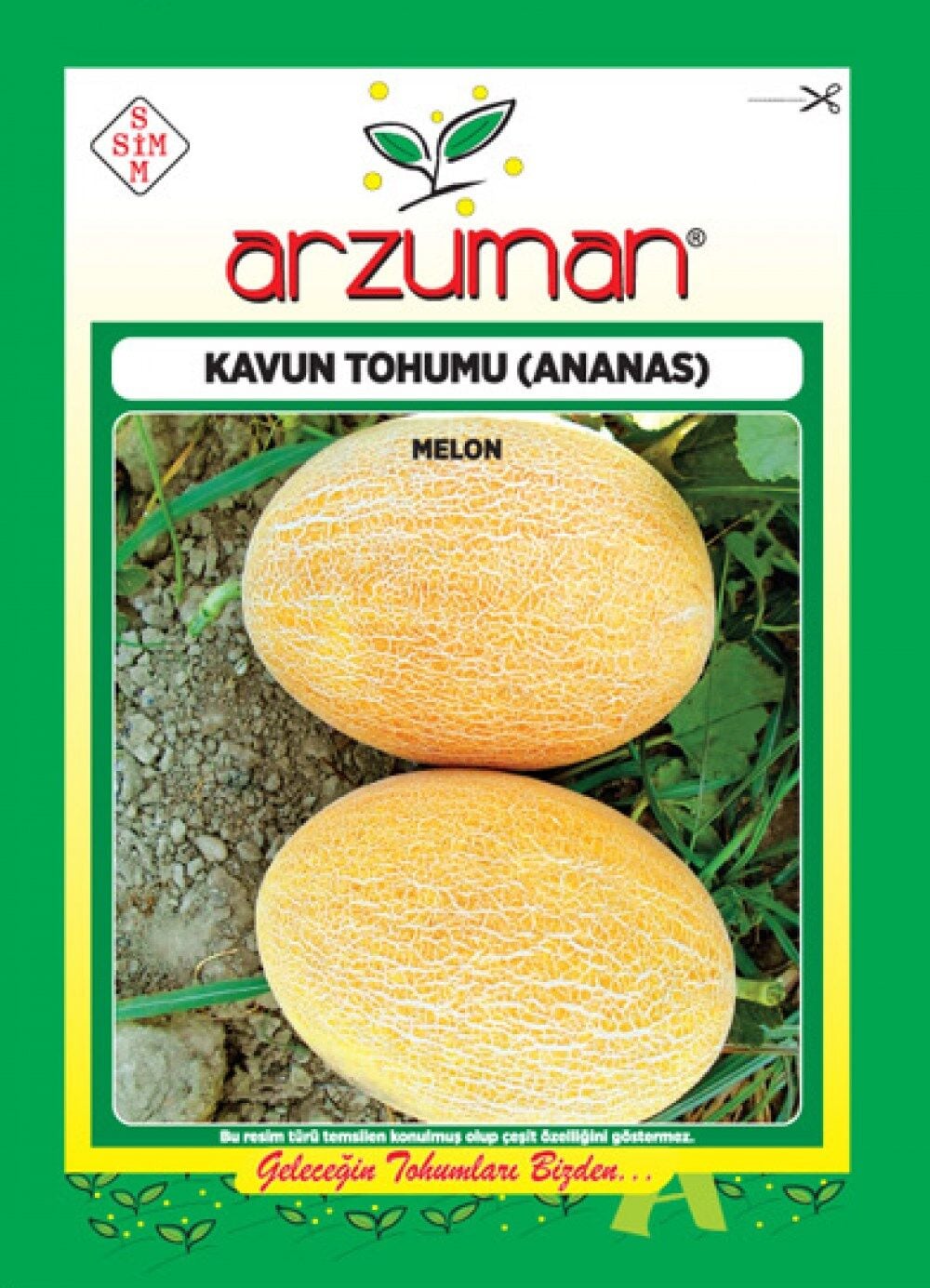 Organik Kavun Tohumu Ananas Tipi (10 Gr) | Melih Tarım